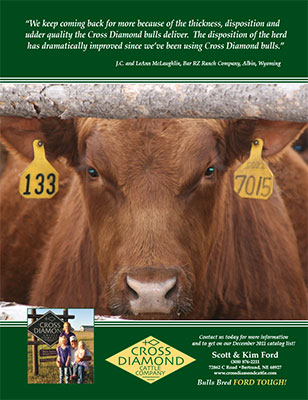 Testimonials | Cross Diamond Cattle